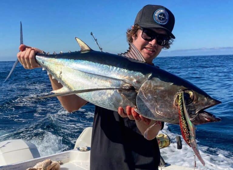 The 15 Types of Tuna: Which is the Best to Eat? - Oak Rowan Foodie