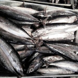 The 15 Types of Tuna: Which is the Best to Eat? - Oak Rowan Foodie