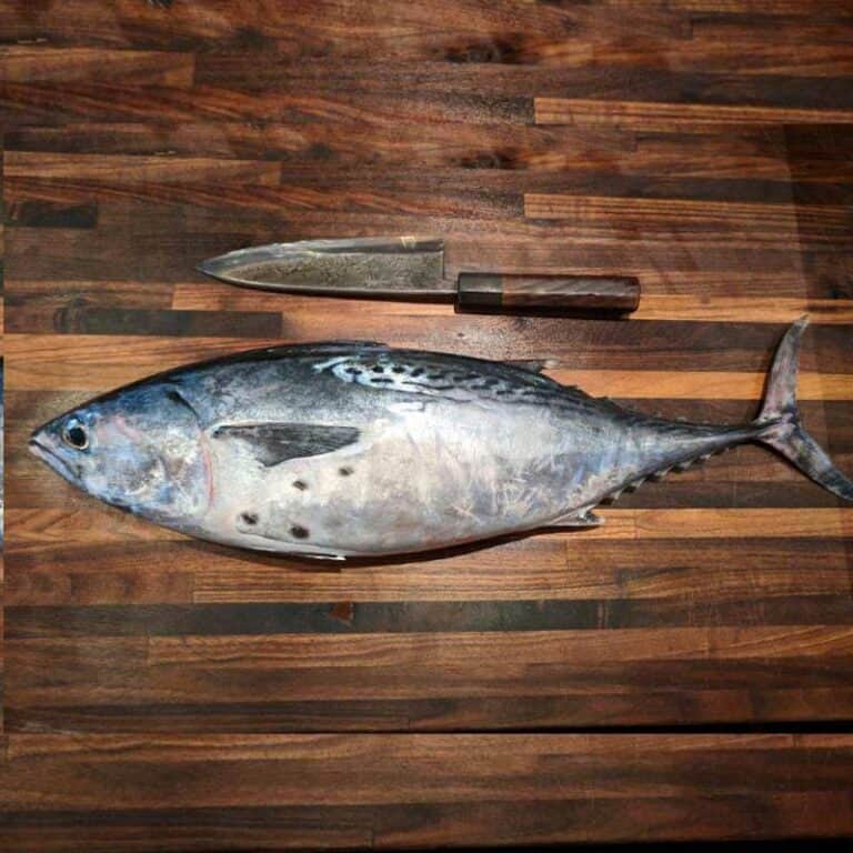 The 15 Types of Tuna: Which is the Best to Eat? - Oak Rowan Foodie