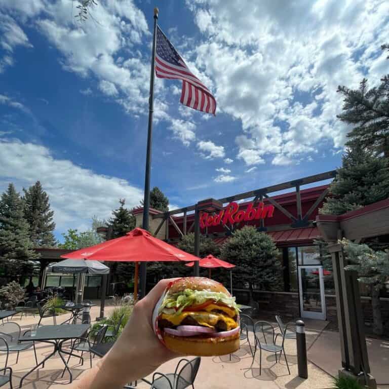 17 Best Burger Chains In America (2023 Update)