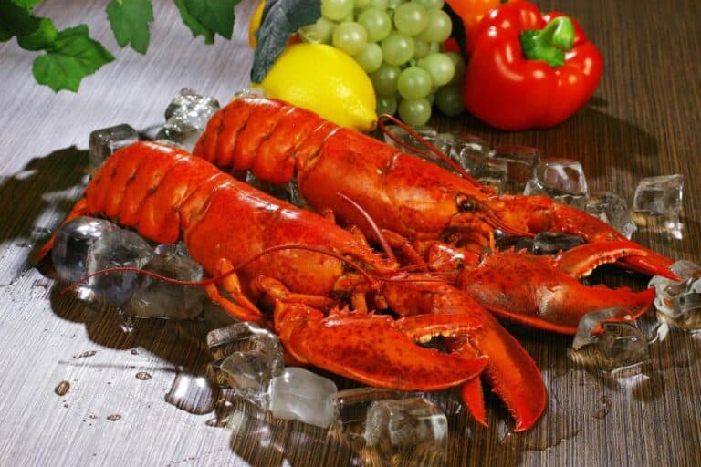 The 15 Popular Types of Shellfish to Eat - Oak Rowan Foodie