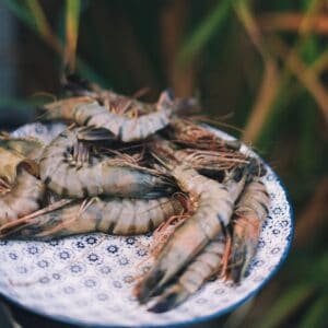 The 15 Popular Types of Shellfish to Eat - Oak Rowan Foodie