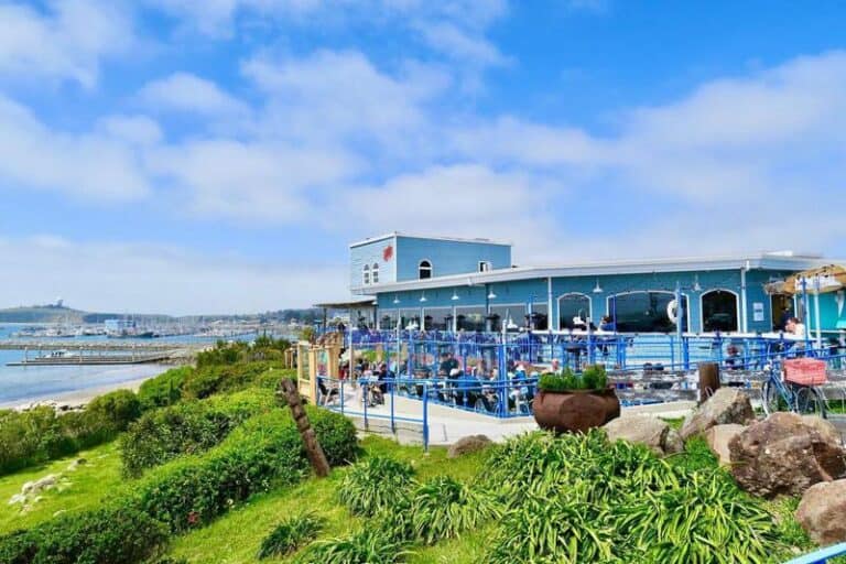 13 Best Restaurants in Half Moon Bay 2023
